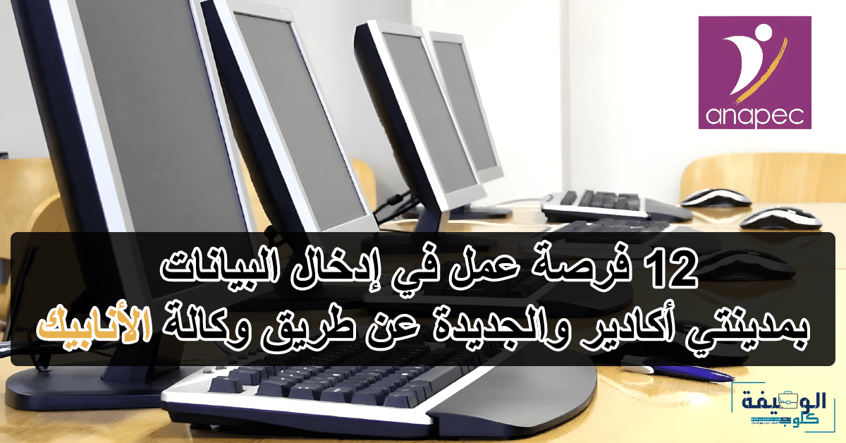 wadifa ma : الوكالة الوطنية لإنعاش التشغيل والكفاءات: تشغيل 12 عامل(ة ...